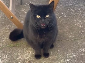 Astral Codex Ten | Scott Alexander | Substack